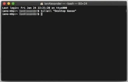 How to remove Desktop Goose “virus” from Mac