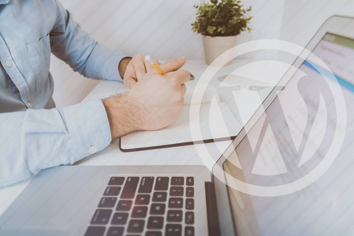 Choosing A Secure Wordpress Theme Macsecurity